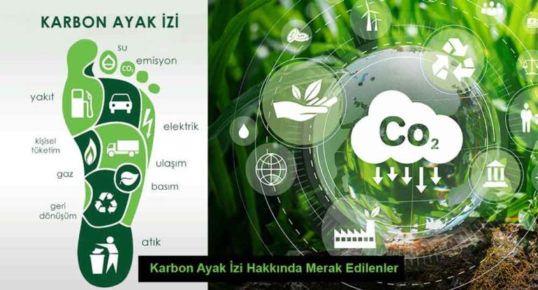 Karbon Ayak İzi Hakkında Merak Edilenler | Hep Enerji